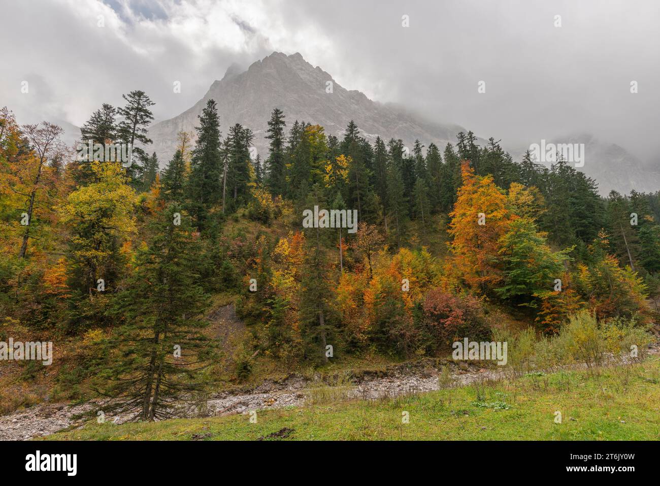 A cold and foggy autumn day in Engtal or Eng Valley, Nature Reserve ...