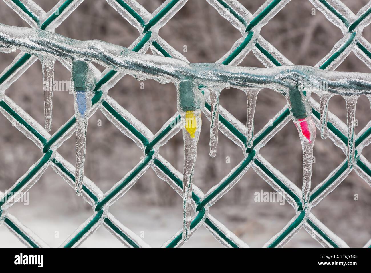 String of Christmas lights and wire mesh fence covered in ice Stock ...