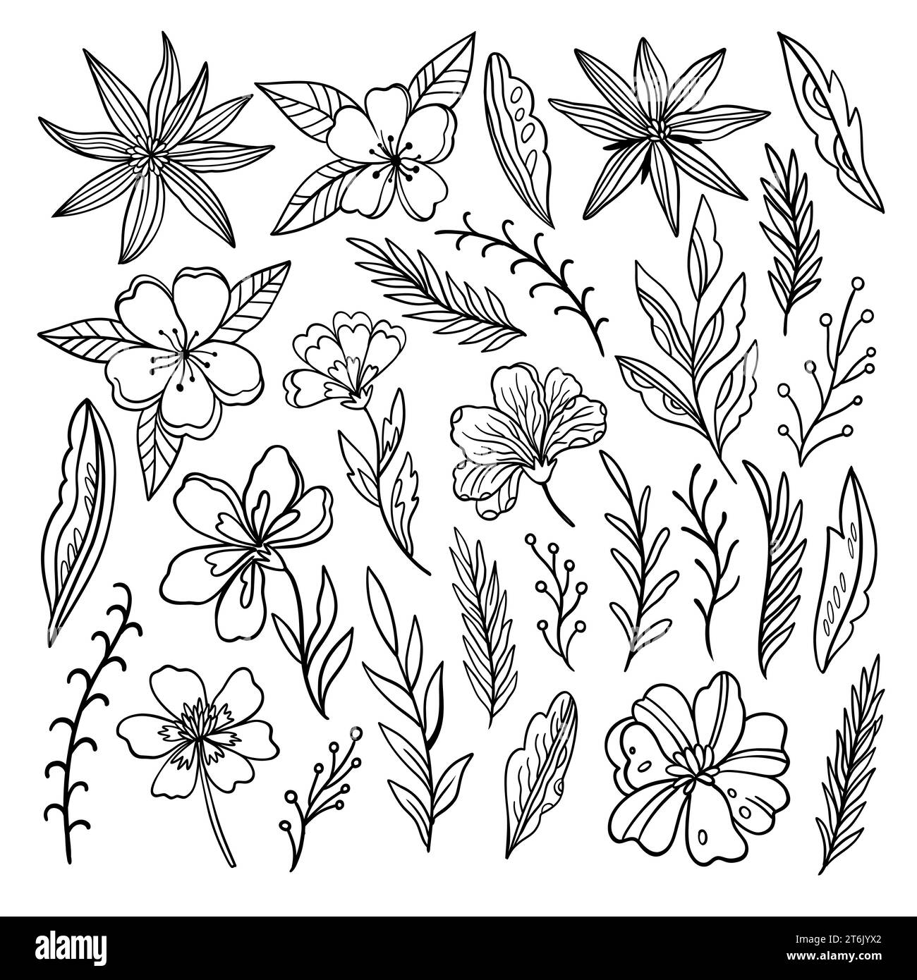 Outline contour doodle floral elements for design and coloring books ...