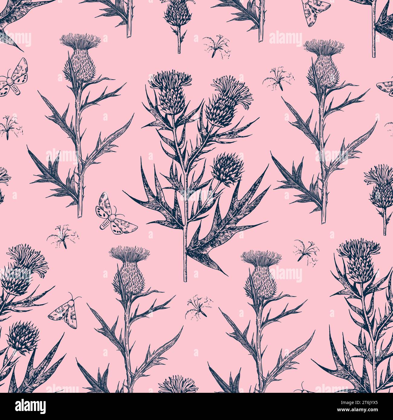 Seamless pattern with thistle flowers and buds. Ink hand-drawn detailed ...