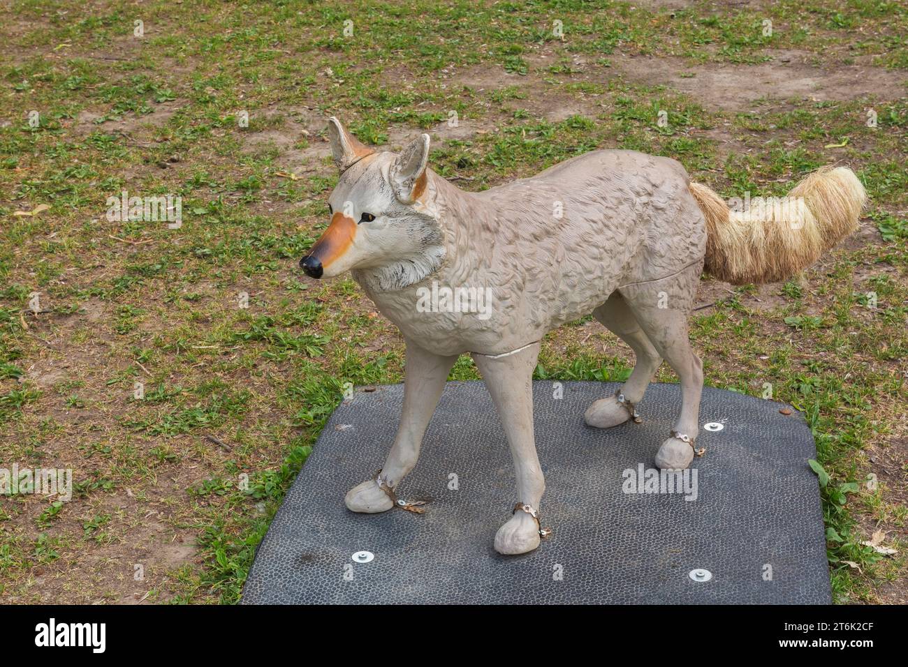 Decoy park hi-res stock photography and images - Alamy