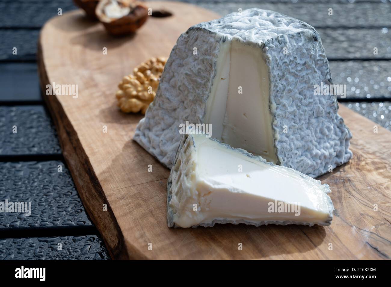 Cheese collection, French Valencay with black mold pyramid cheese made ...