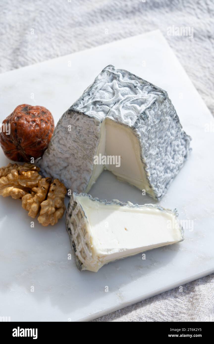 Cheese collection, French Valencay with black mold pyramid cheese made ...