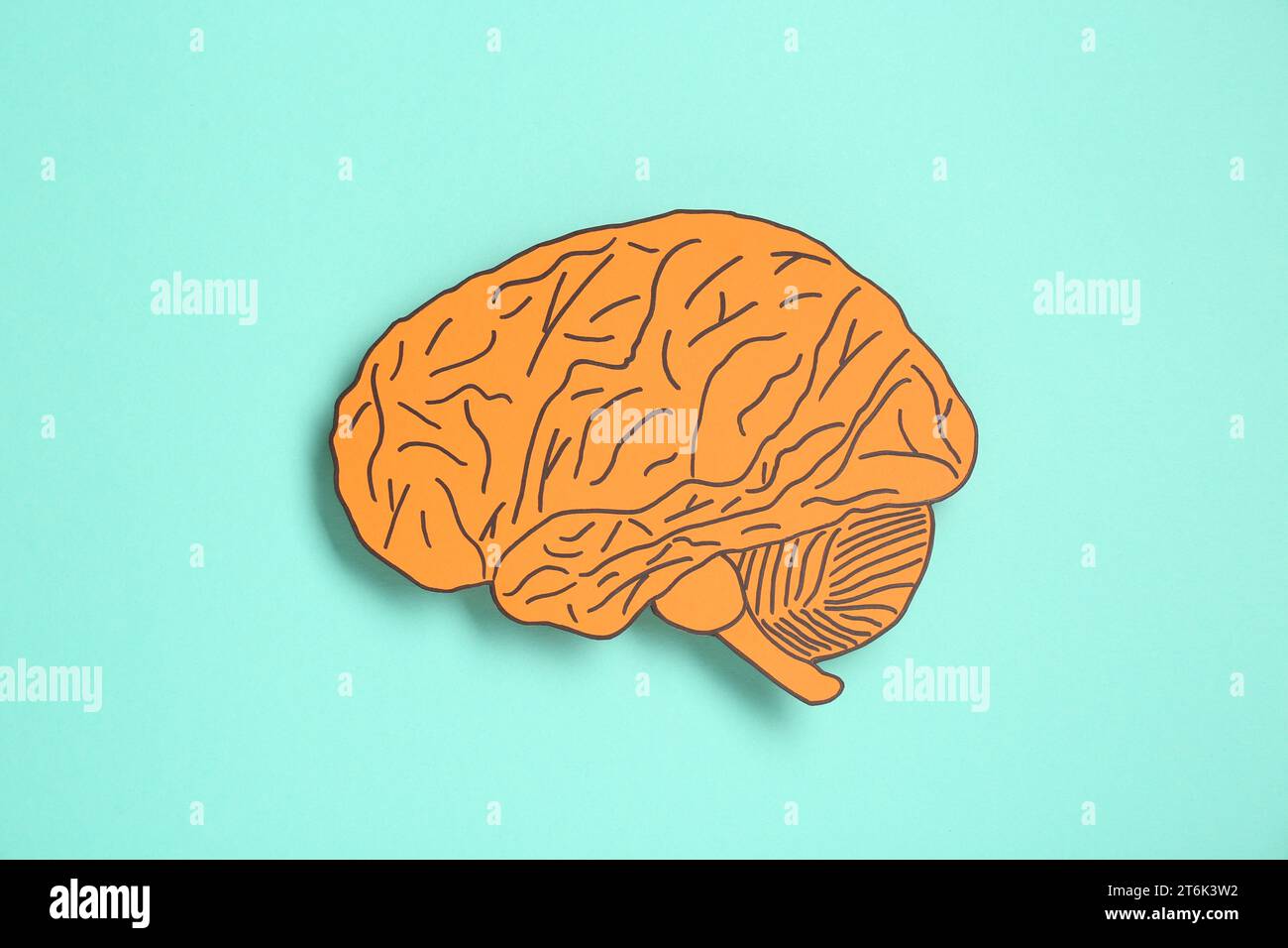 Paper cutout of human brain on light blue background, top view Stock ...