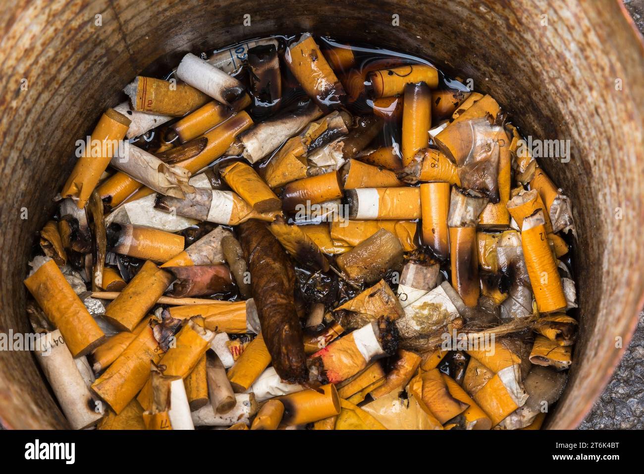 Discarded wet cigarette butts in metal can ashtray Stock Photo - Alamy