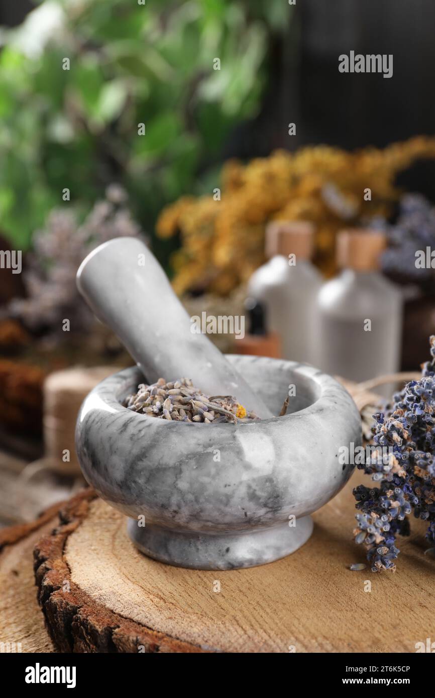 Mortar with pestle and lavender flowers on table, closeup. Medicinal herbs Stock Photo - Alamy