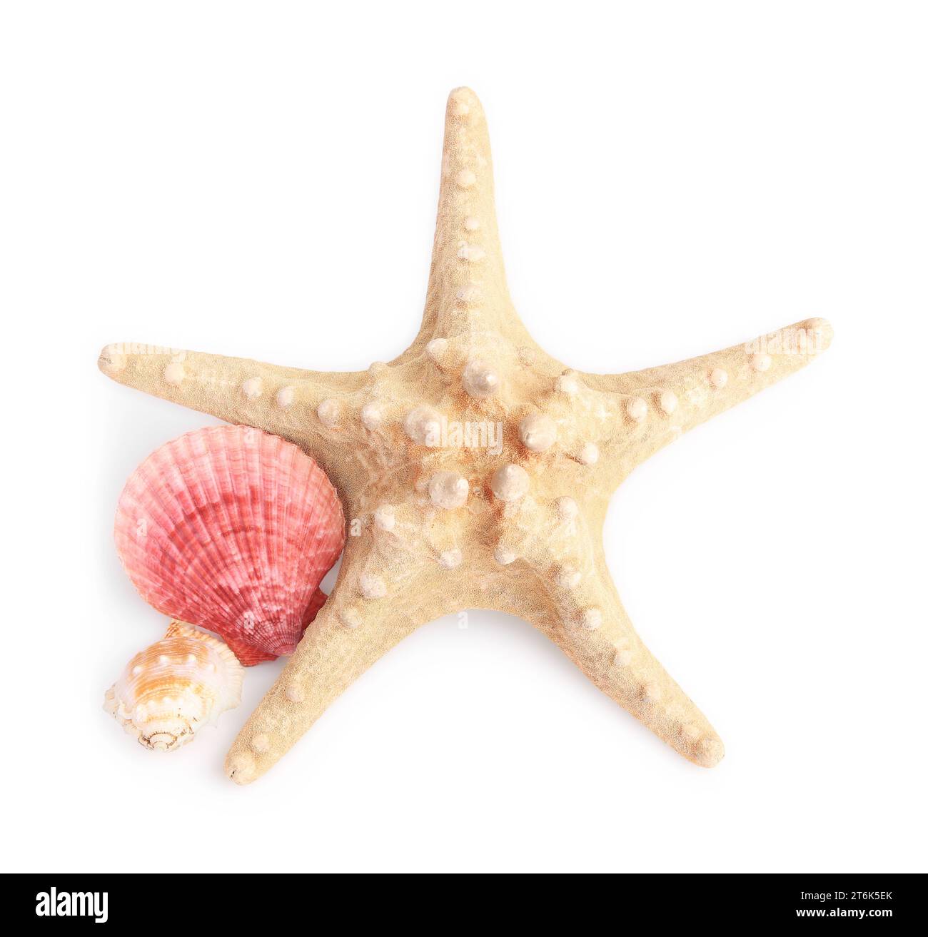 Beautiful sea star (starfish) and seashells isolated on white Stock ...