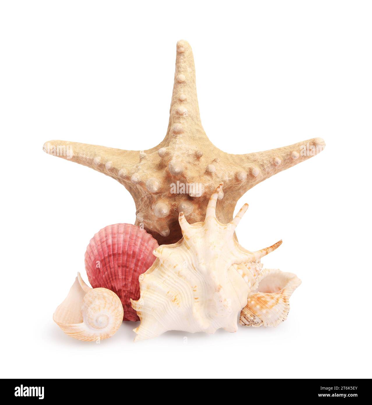 Beautiful sea star (starfish) and seashells isolated on white Stock ...