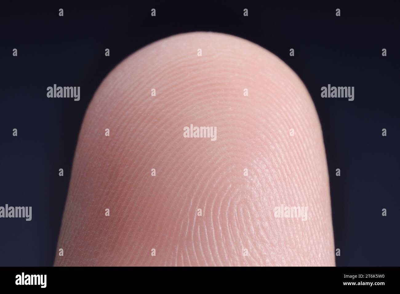 Friction ridges hi-res stock photography and images - Alamy