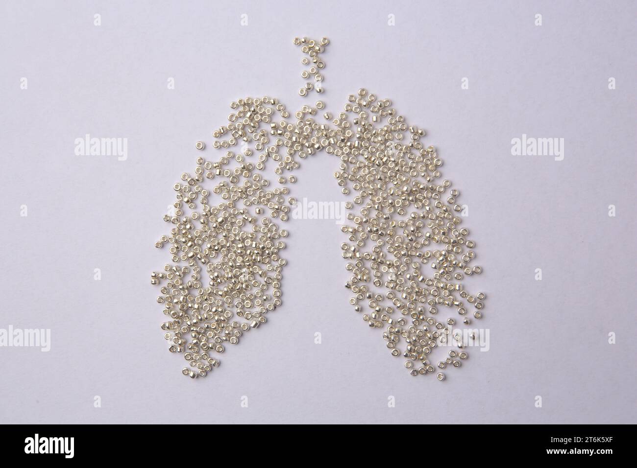 Human lungs made of beads on white background, flat lay Stock Photo - Alamy