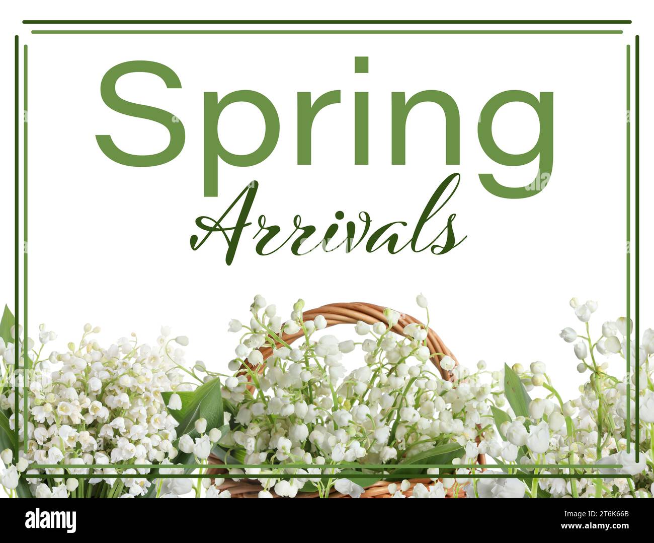 Spring arrivals flyer design with beautiful flowers and text on white ...