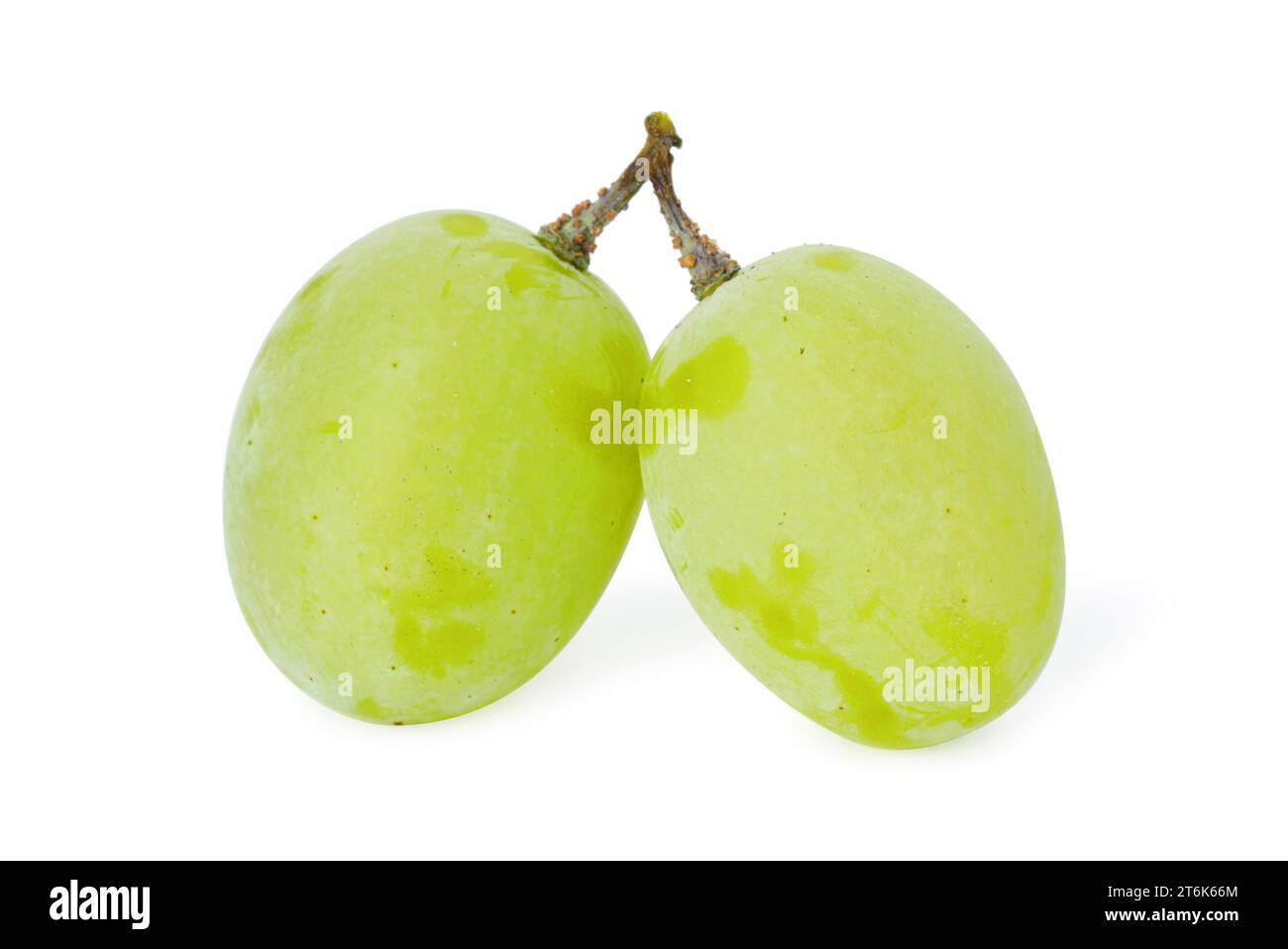Two ripe green grapes isolated on white Stock Photo - Alamy