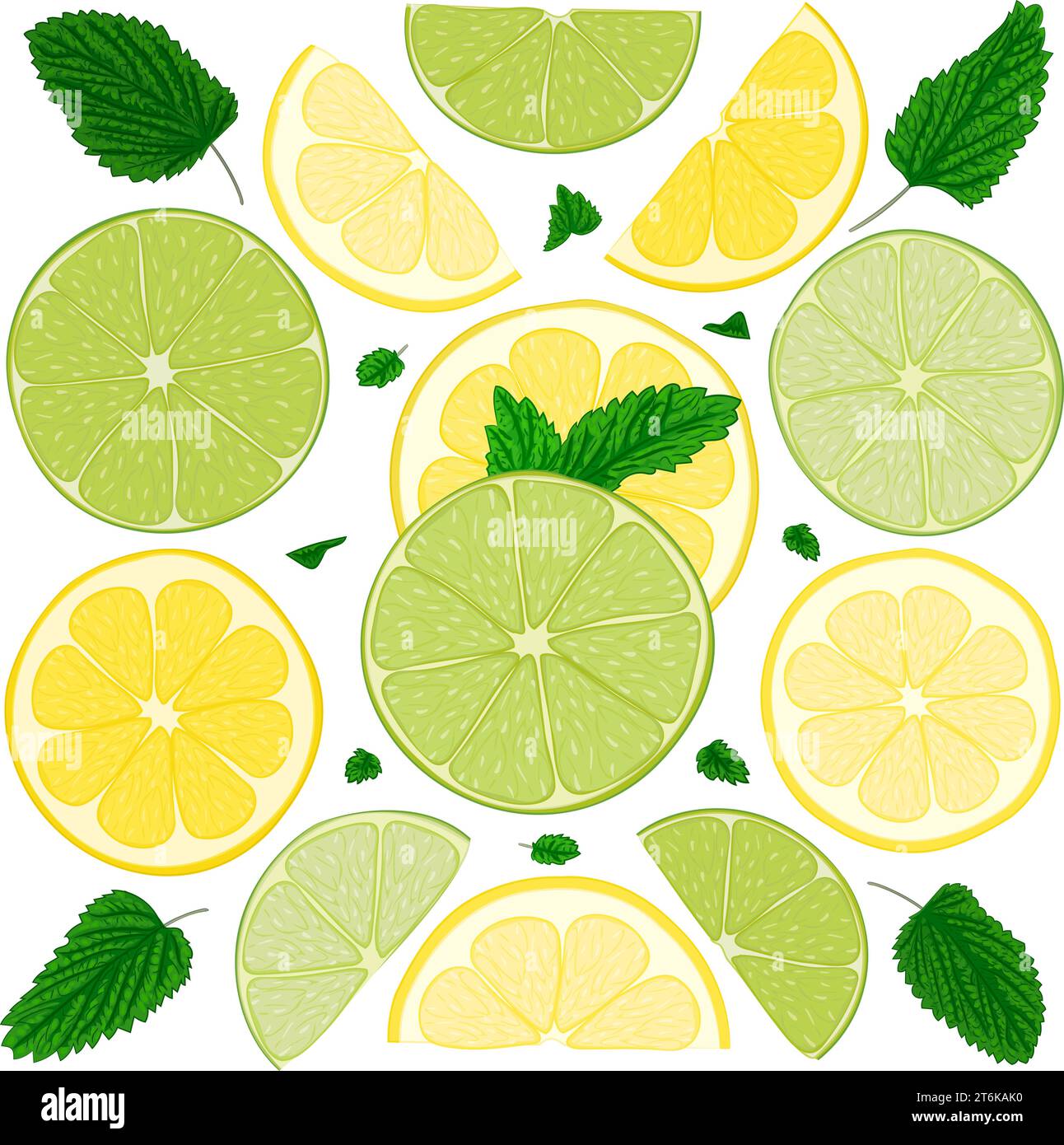 Color illustration of lemon and lime wedges with mint leaves. Vector ...