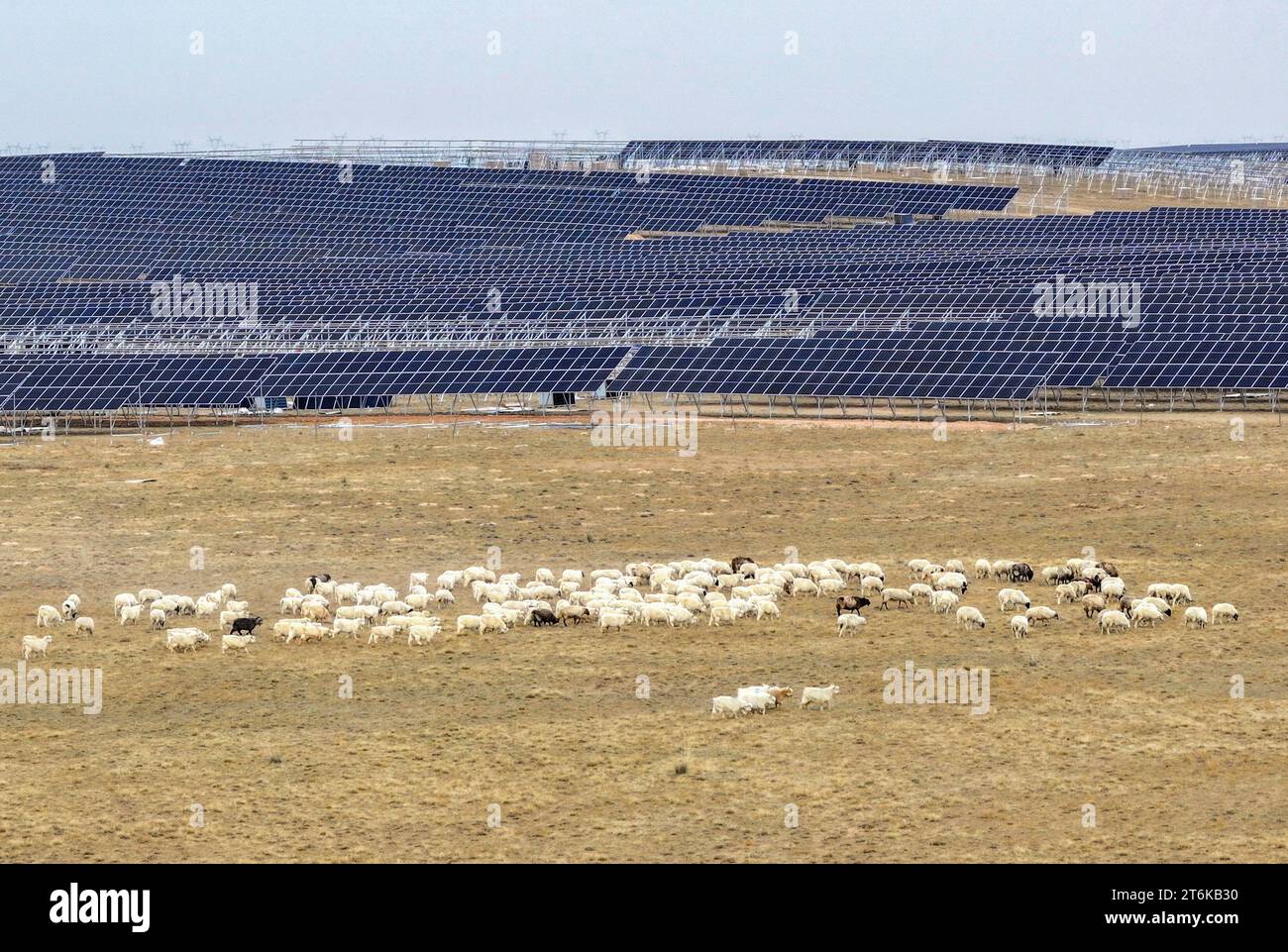 Coal mining subsidence hi-res stock photography and images - Alamy