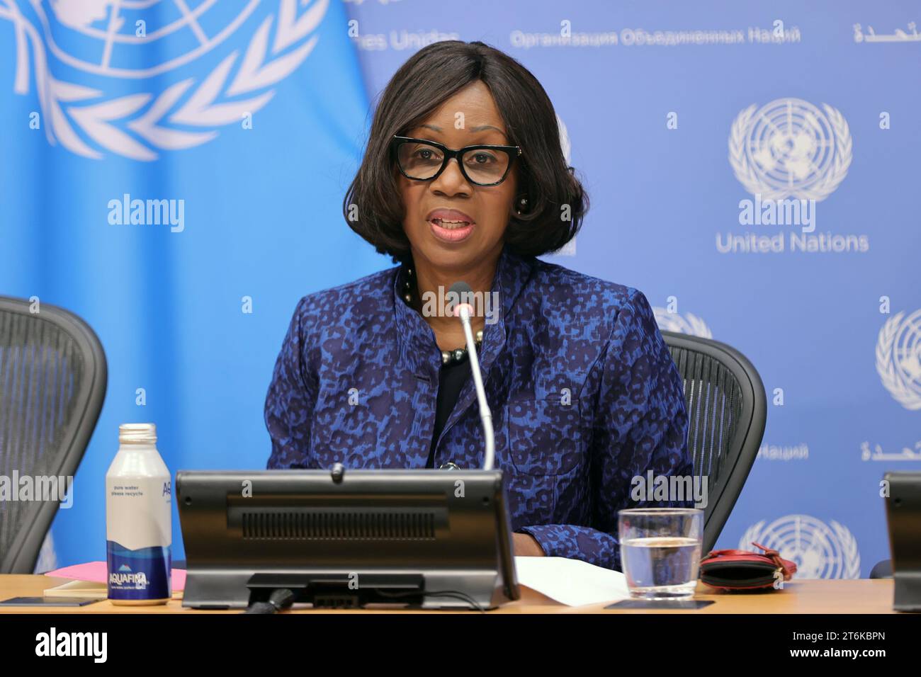 November 10, 2023, NY, USA: United Nations, New York, USA, November 10 ...