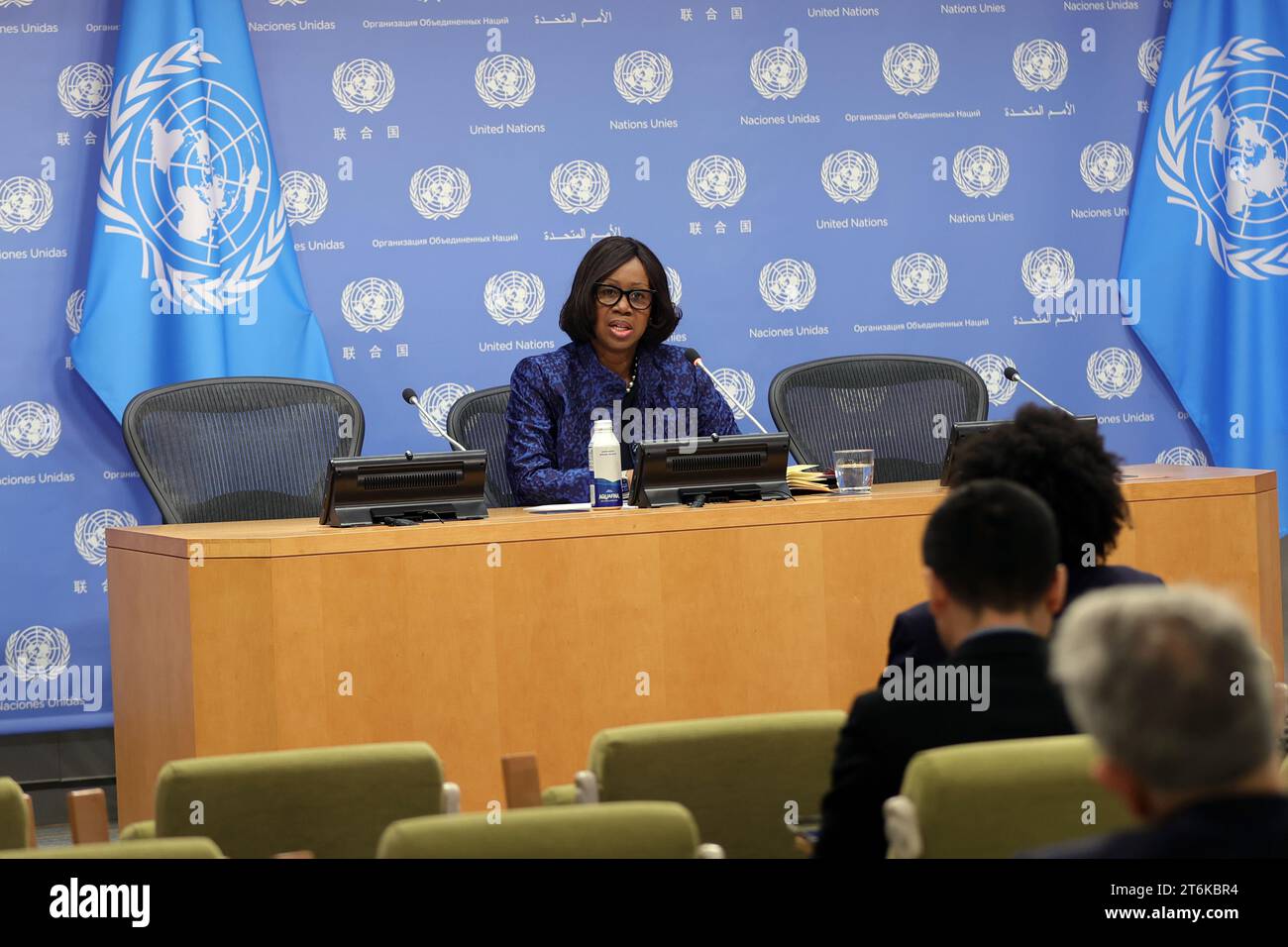 November 10, 2023, NY, USA: United Nations, New York, USA, November 10 ...