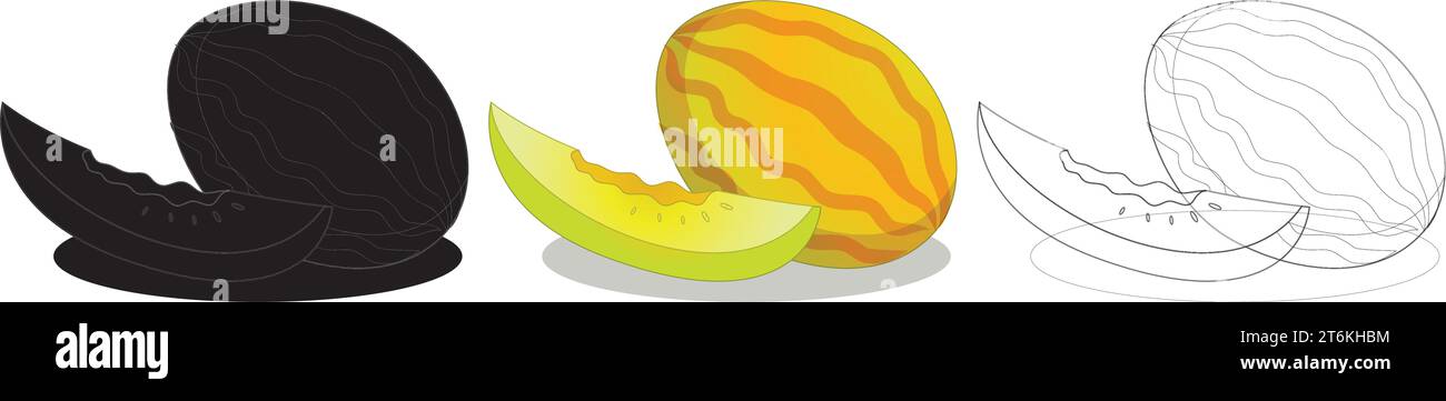 Illustration food fruit melon Stock Vector Images - Alamy
