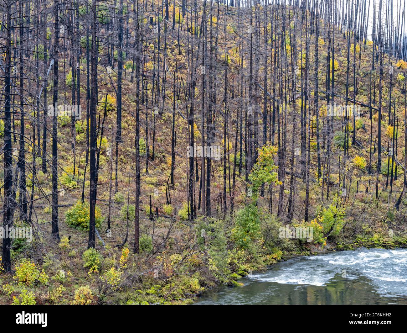 Richard g baker park hi-res stock photography and images - Alamy