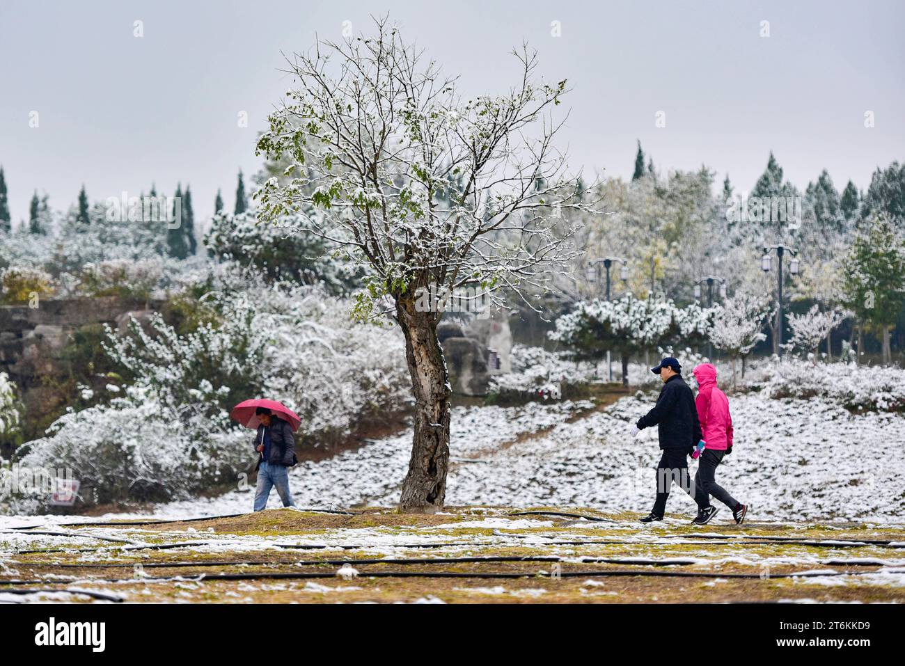 Yunmenshan forest park hi-res stock photography and images - Alamy