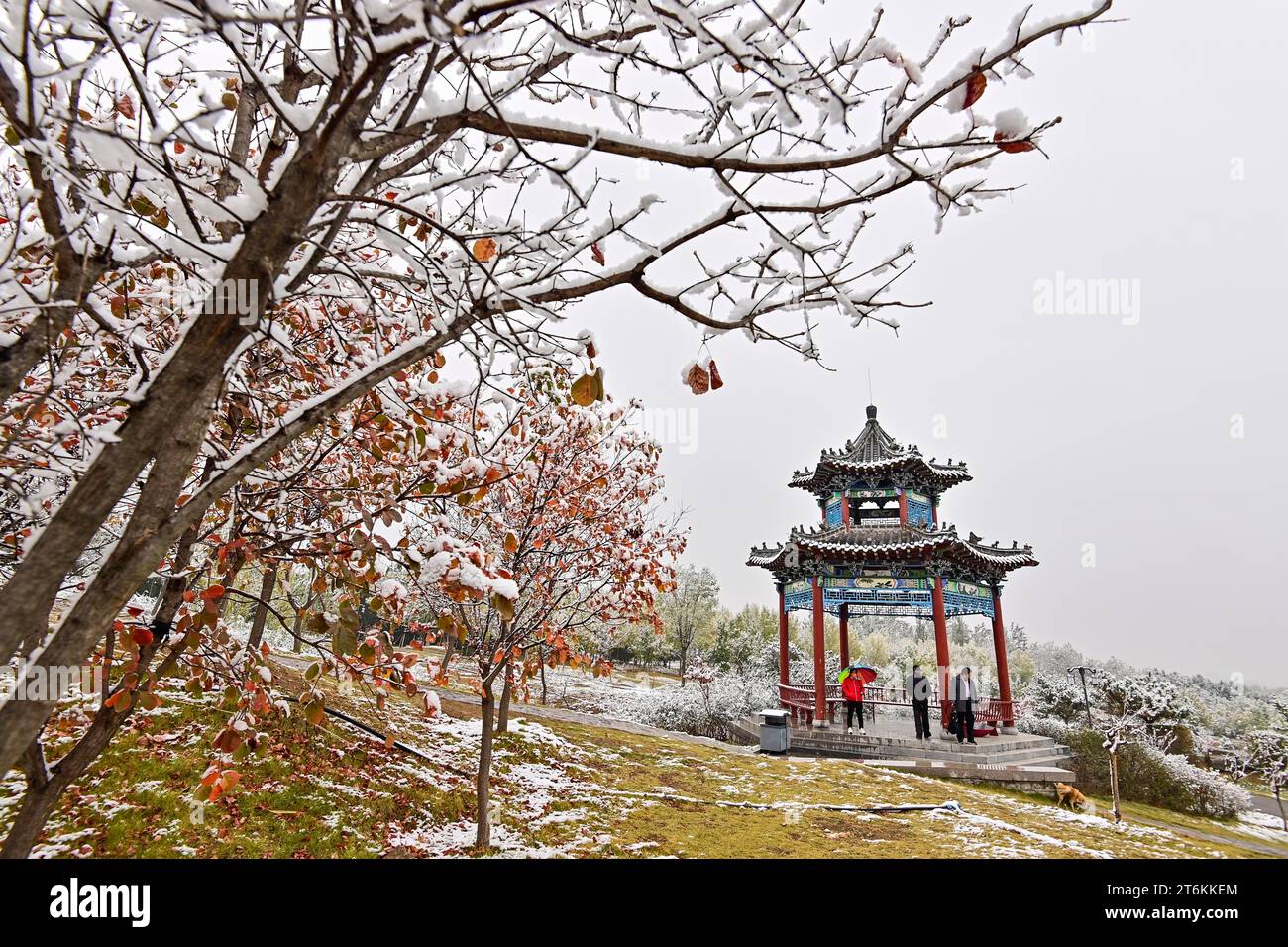 Yunmenshan forest park hi-res stock photography and images - Alamy