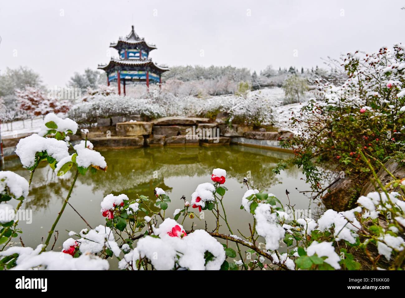 Yunmenshan forest park hi-res stock photography and images - Alamy