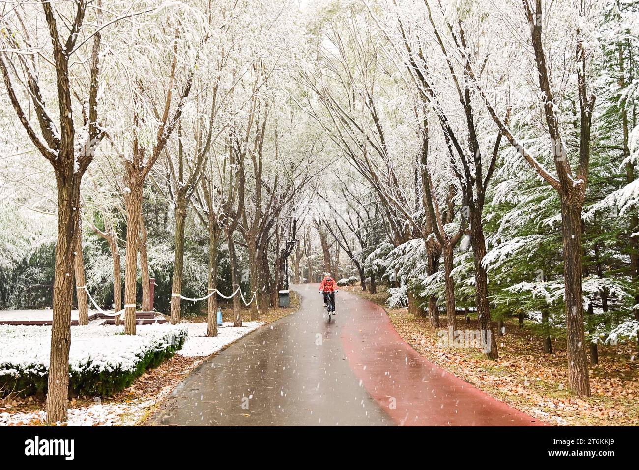 QINGZHOU, CHINA - NOVEMBER 11, 2023 - People ride in the snow at ...