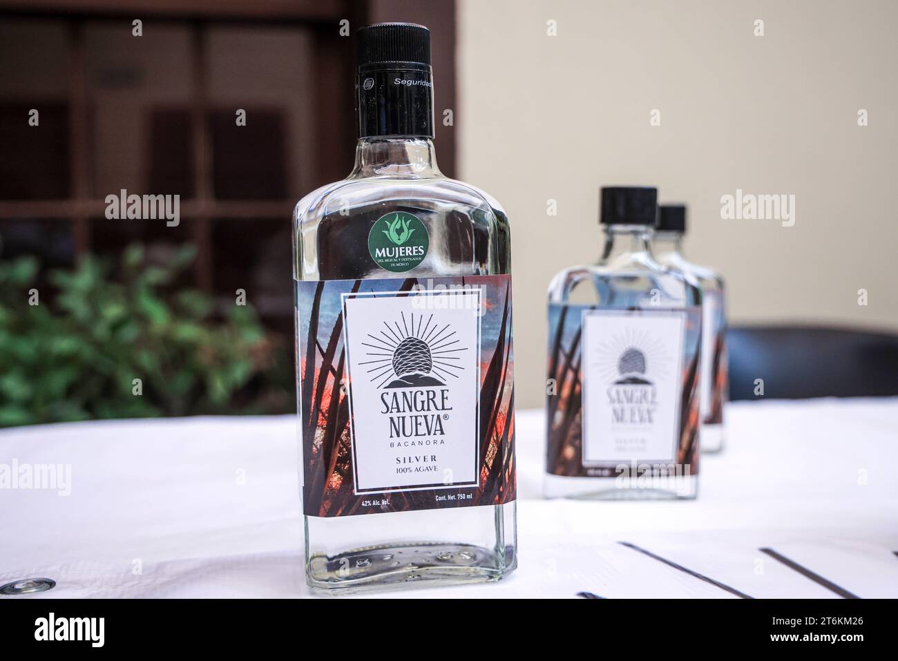 Bacanora distilled from agave originating from the state of Sonora ...