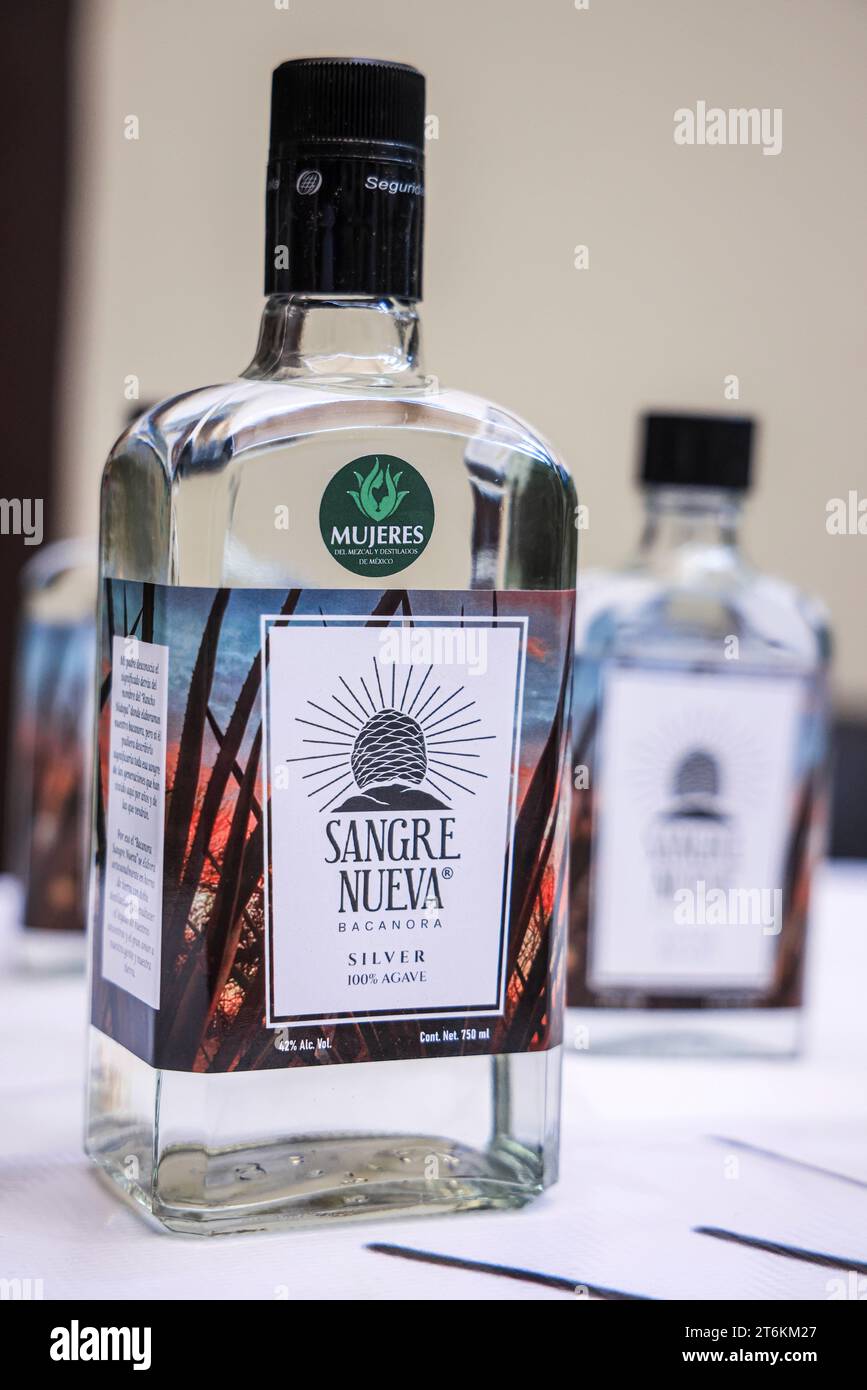 Bacanora distilled from agave originating from the state of Sonora ...