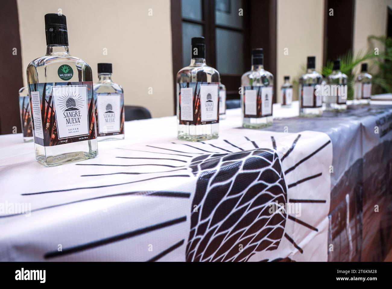 Bacanora distilled from agave originating from the state of Sonora ...