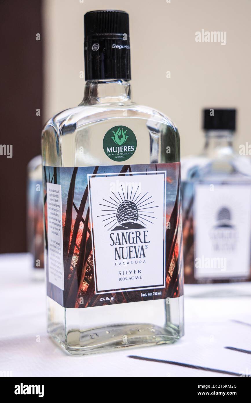 Bacanora distilled from agave originating from the state of Sonora ...