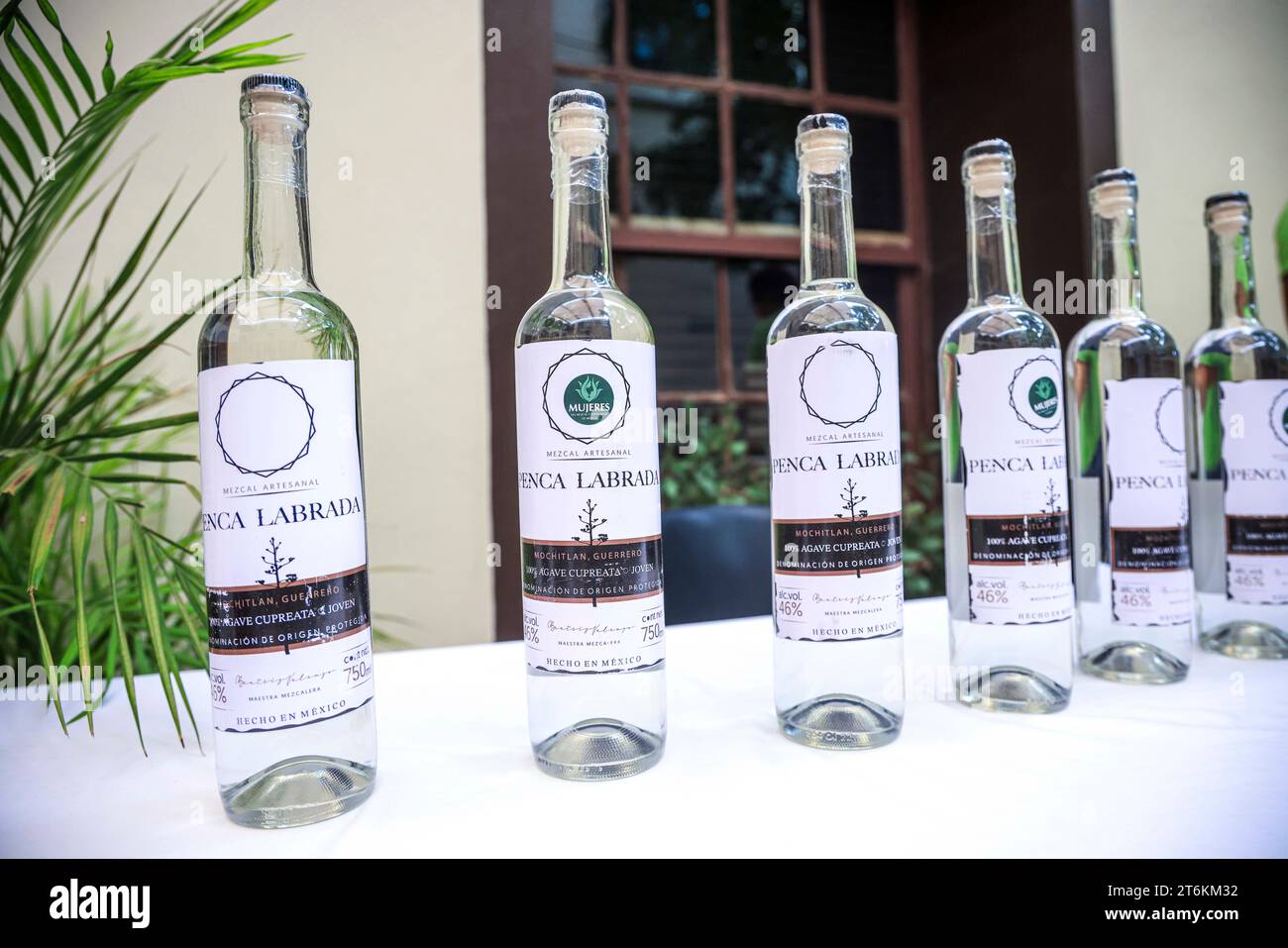 Bacanora distilled from agave originating from the state of Sonora ...