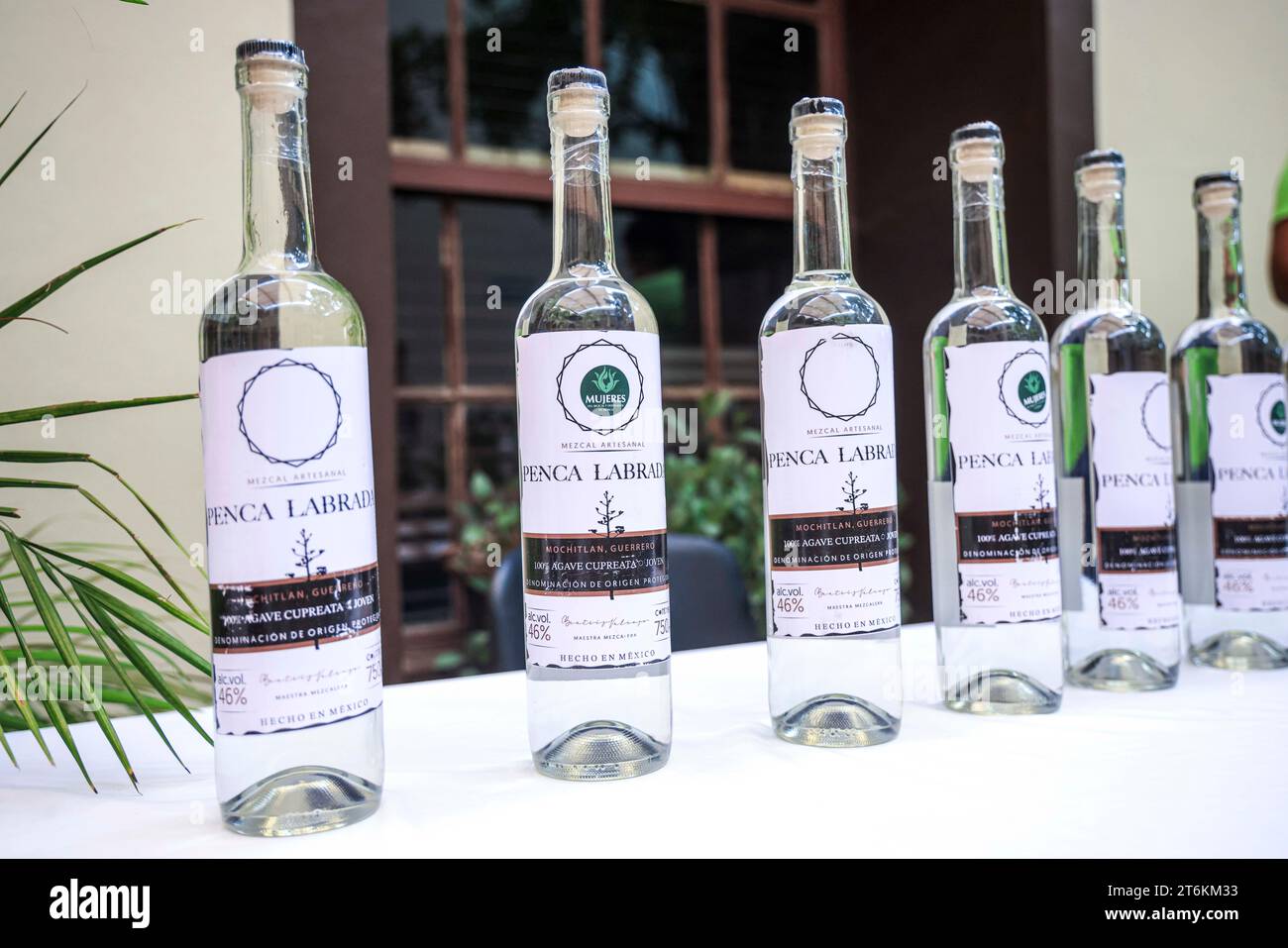 Bacanora distilled from agave originating from the state of Sonora ...