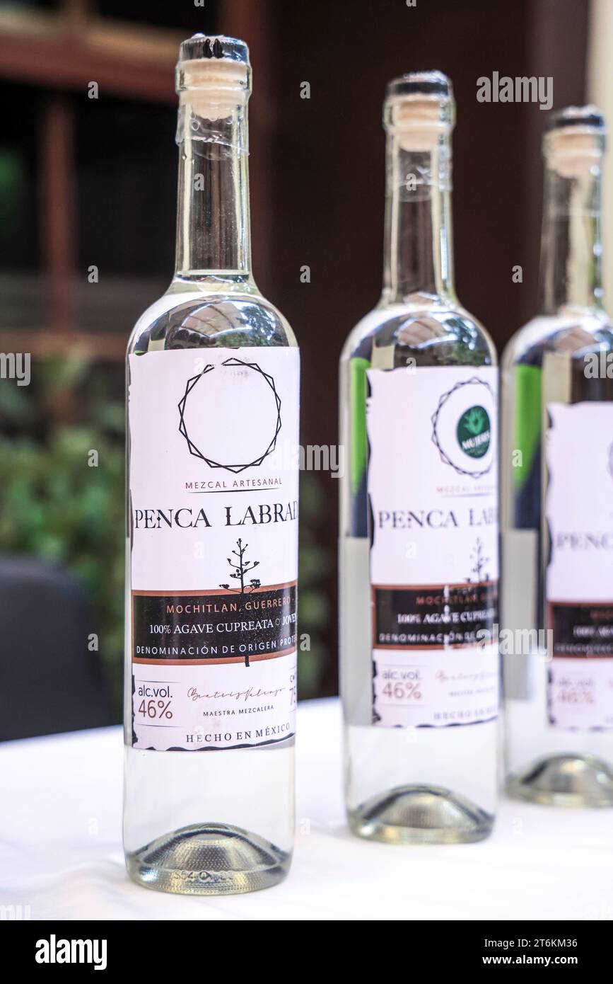 Bacanora distilled from agave originating from the state of Sonora ...