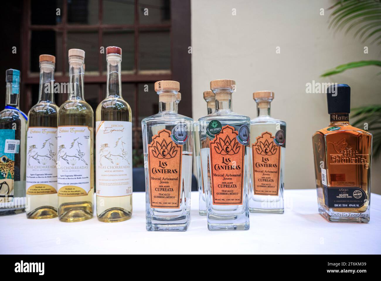 Bacanora distilled from agave originating from the state of Sonora ...