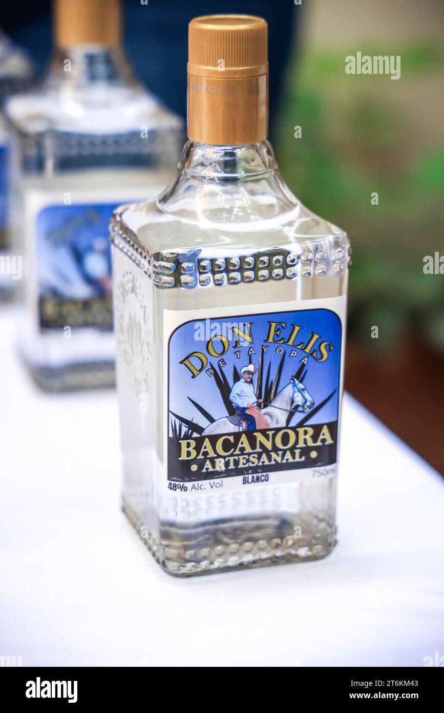 Bacanora distilled from agave originating from the state of Sonora ...