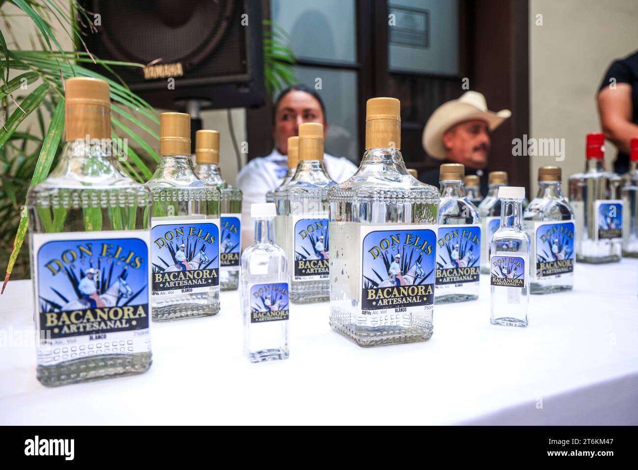 Bacanora distilled from agave originating from the state of Sonora ...