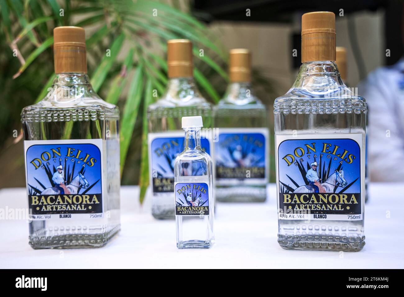 Bacanora distilled from agave originating from the state of Sonora ...