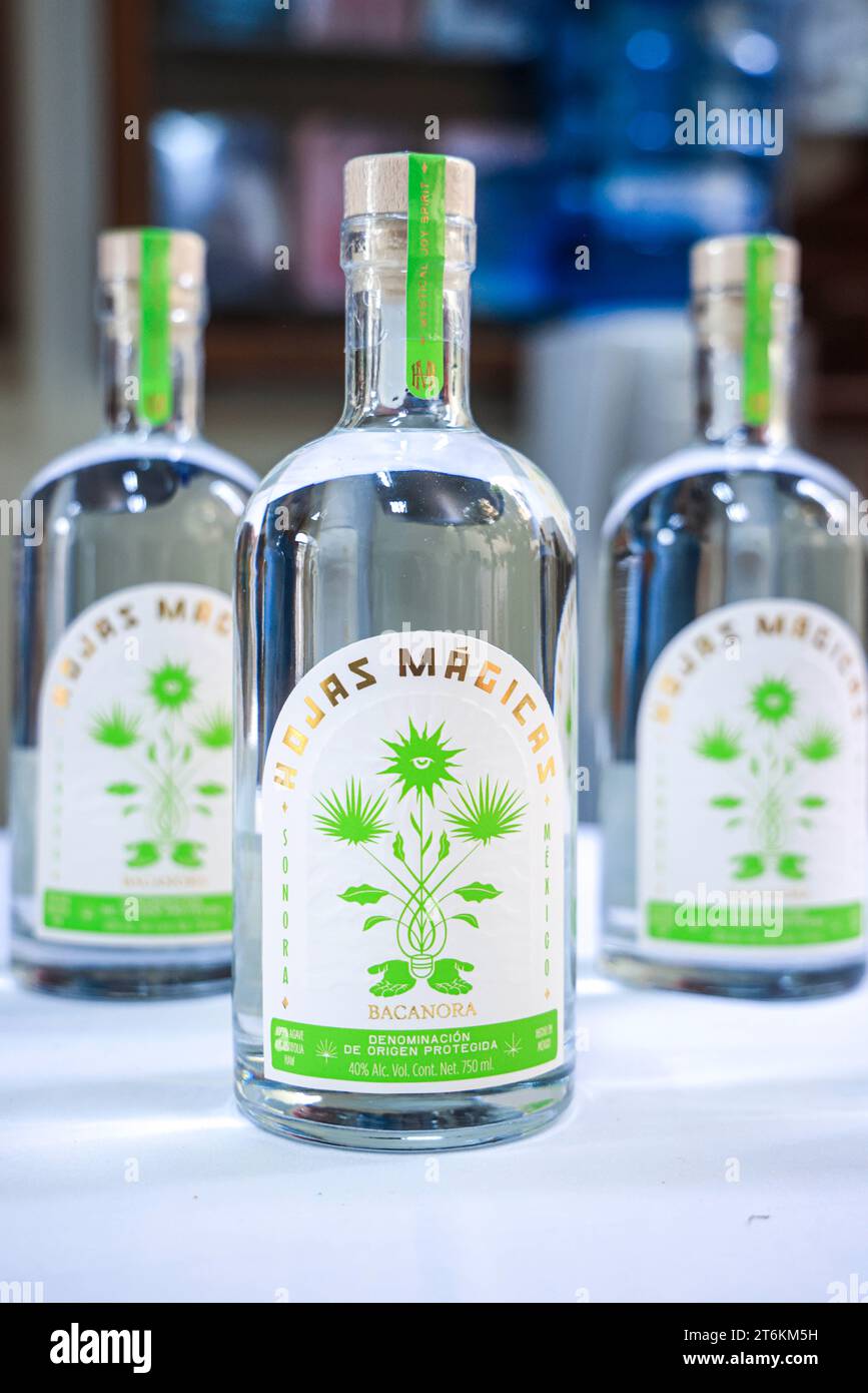 Bacanora distilled from agave originating from the state of Sonora ...