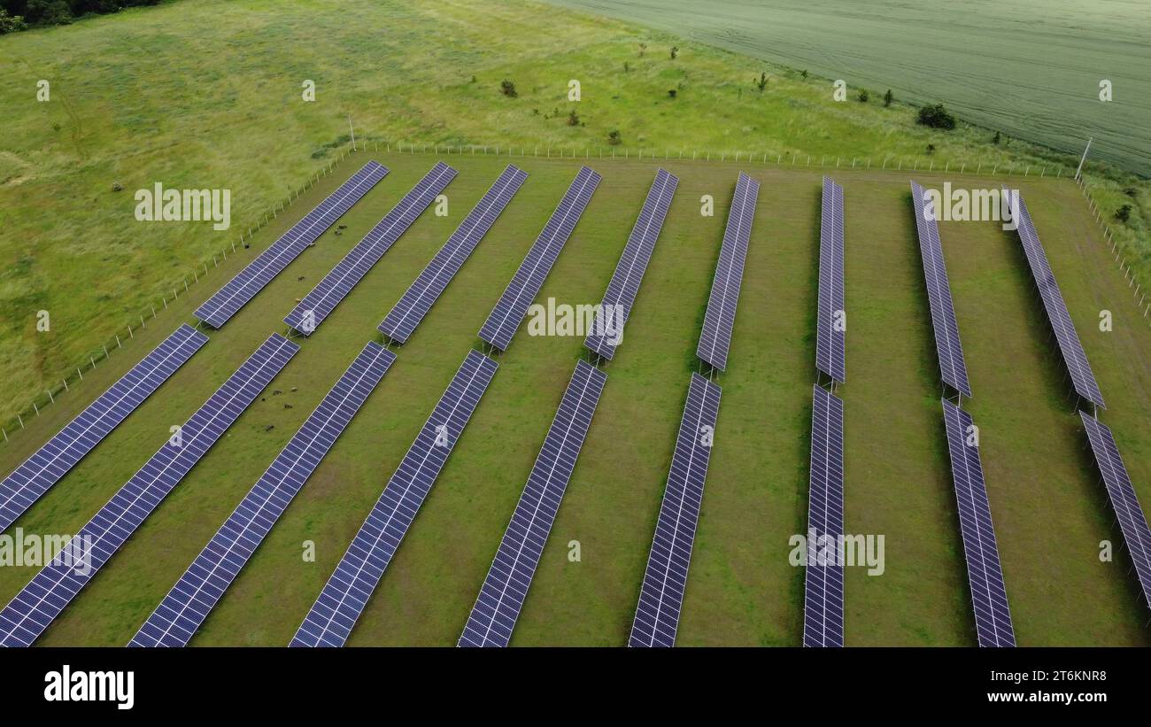 Aerial view of Solar Panels Farm solar cell with sunlight. Drone flight ...