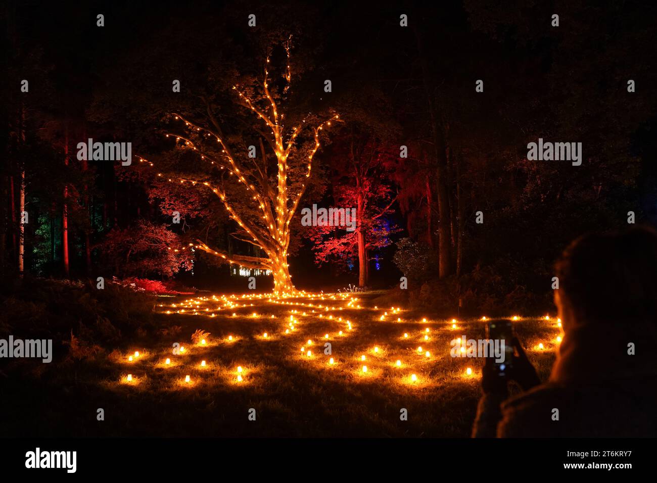 A light installation during a preview of Luminate Sandringham, the ...