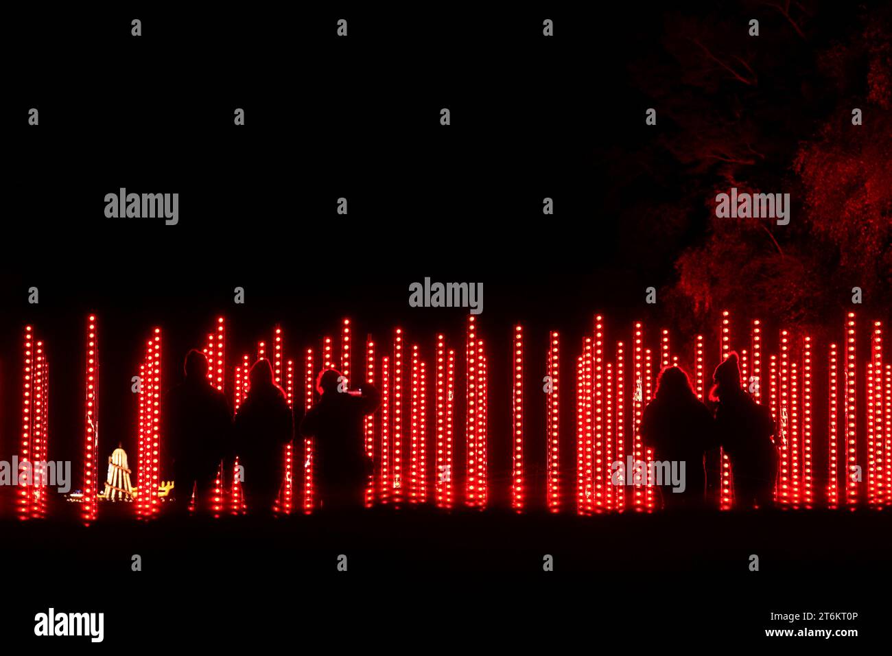 A light installation during a preview of Luminate Sandringham, the ...