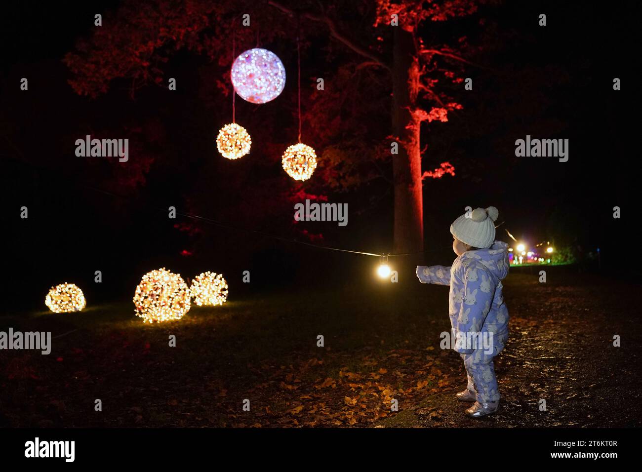A light installation during a preview of Luminate Sandringham, the ...
