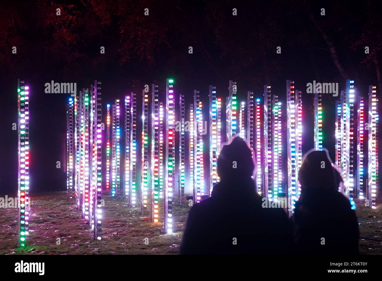 A light installation during a preview of Luminate Sandringham, the ...
