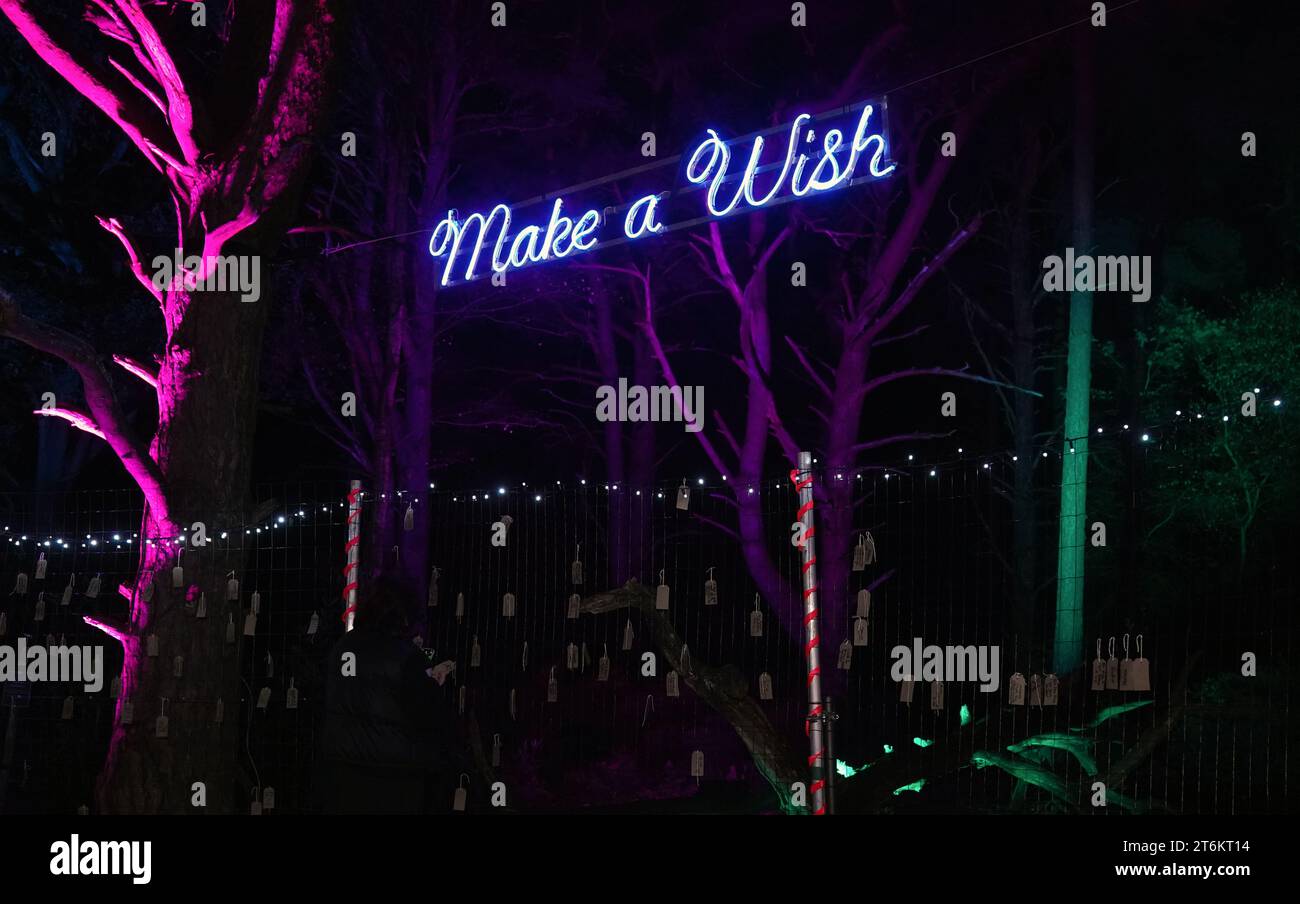 A light installation during a preview of Luminate Sandringham, the ...