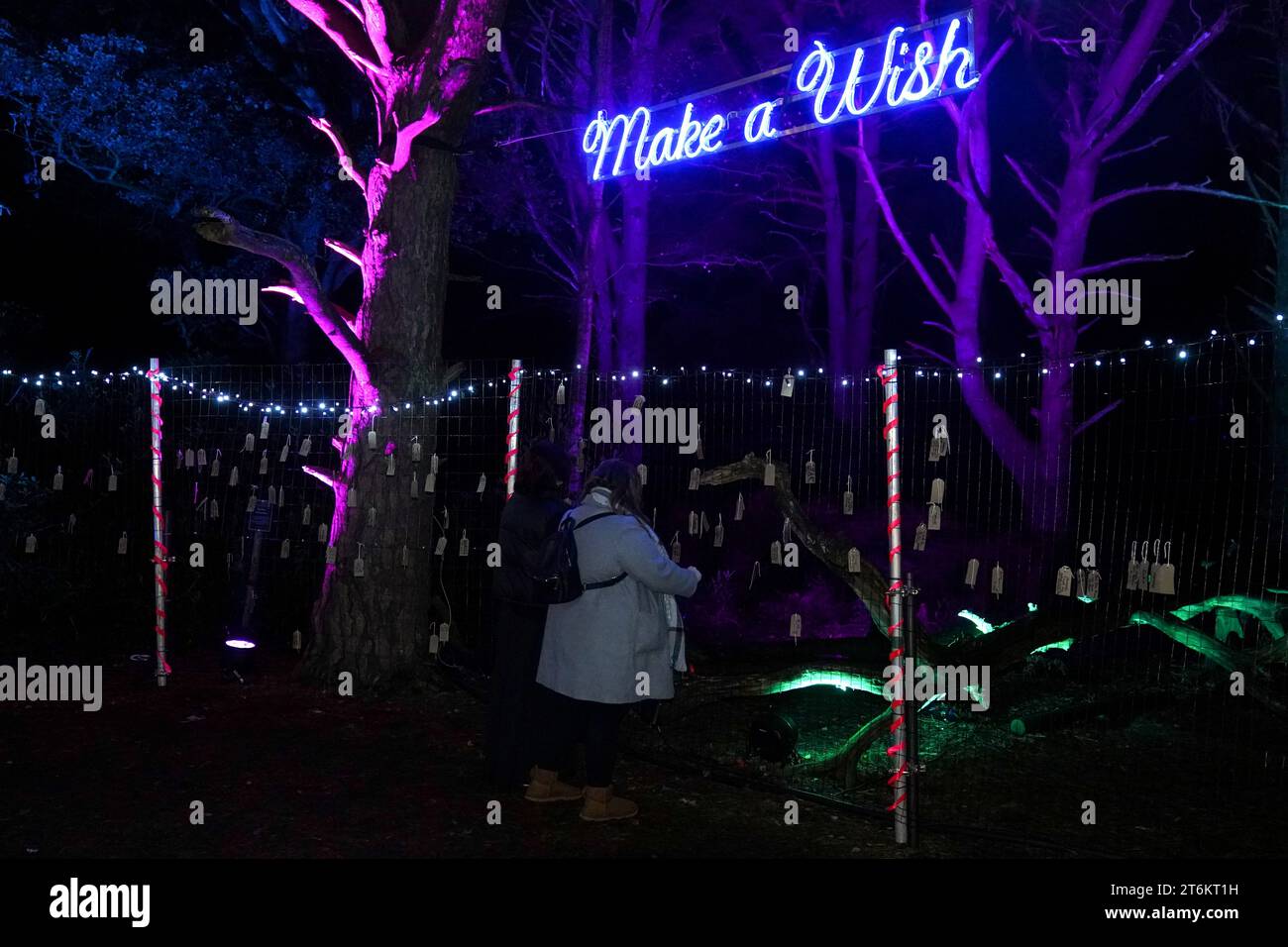 A light installation during a preview of Luminate Sandringham, the ...