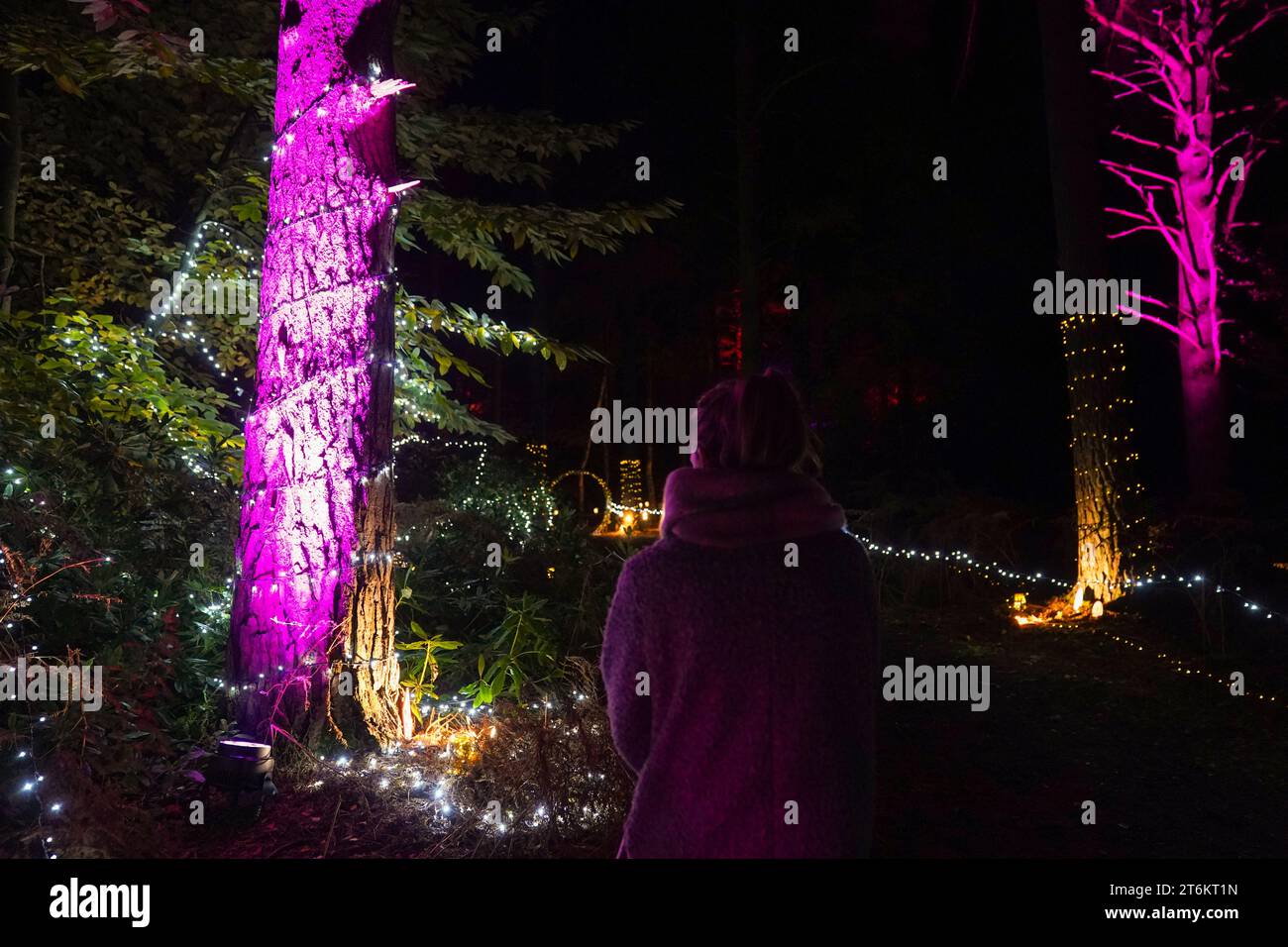 A light installation during a preview of Luminate Sandringham, the ...