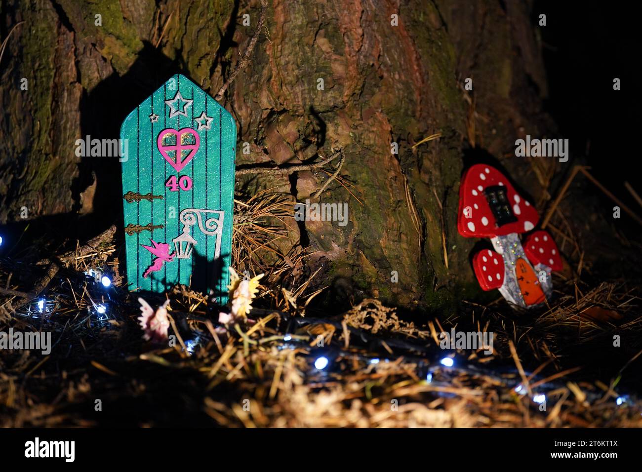 A light installation during a preview of Luminate Sandringham, the ...