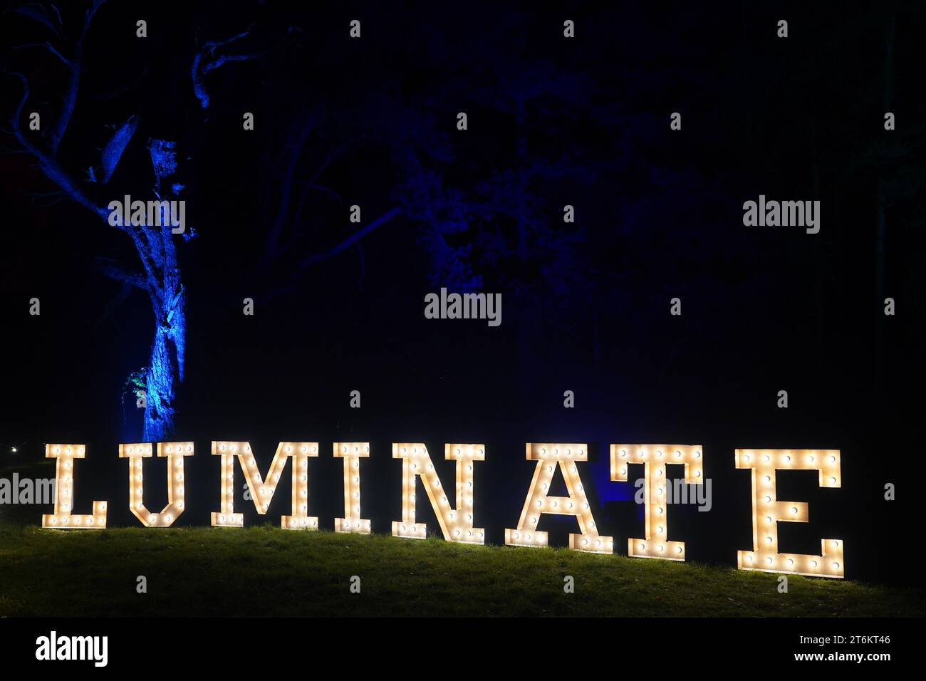 A light installation during a preview of Luminate Sandringham, the ...