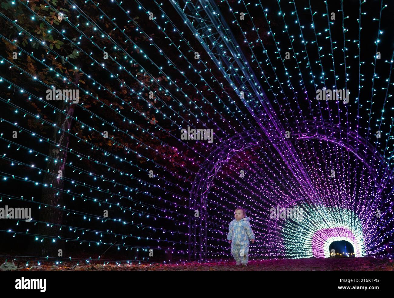 One-year-old Summer enjoys walking through a light installation during ...