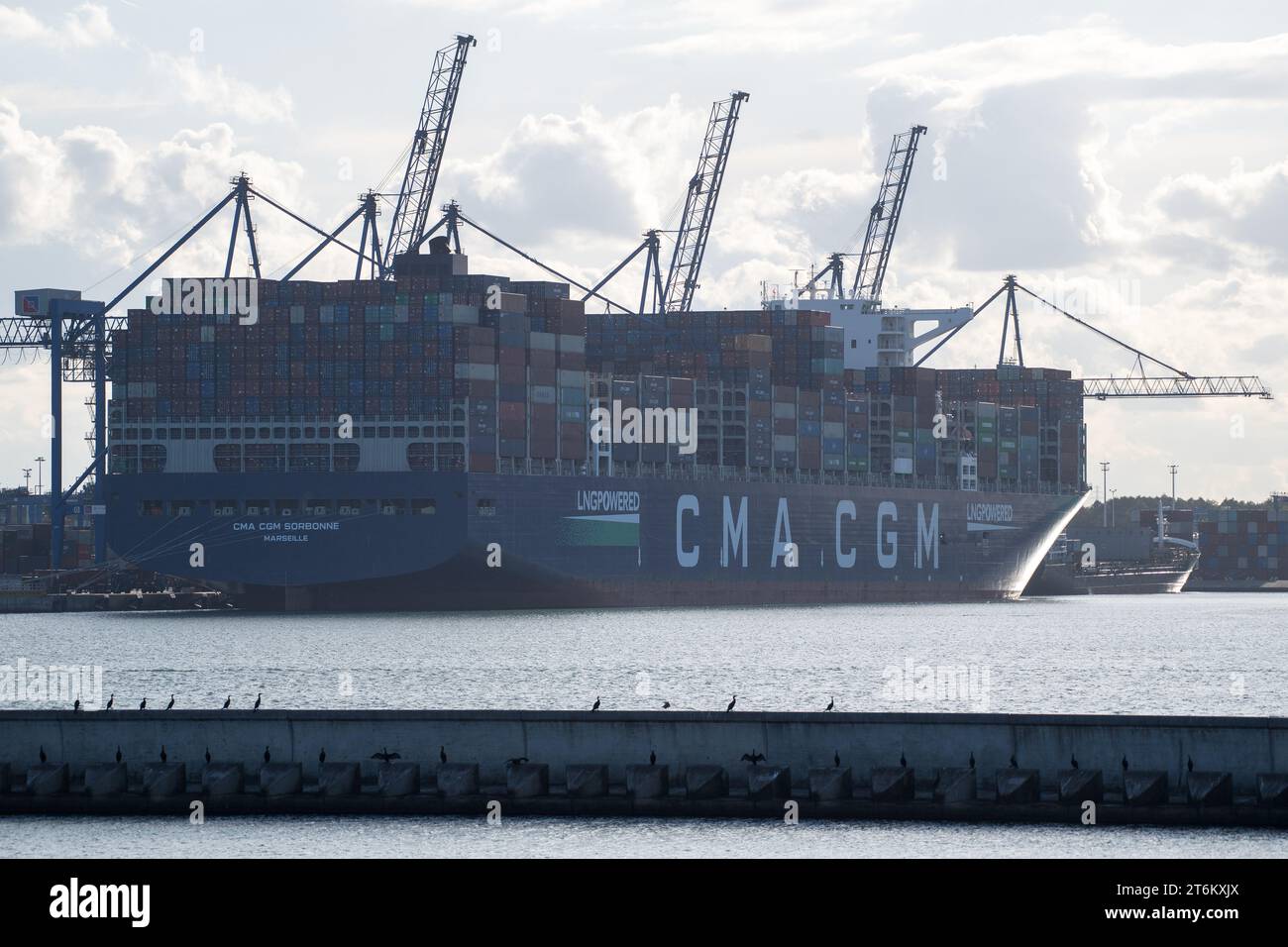 CMA CGM Sorbonne container ship in Baltic Hub, former Deepwater ...